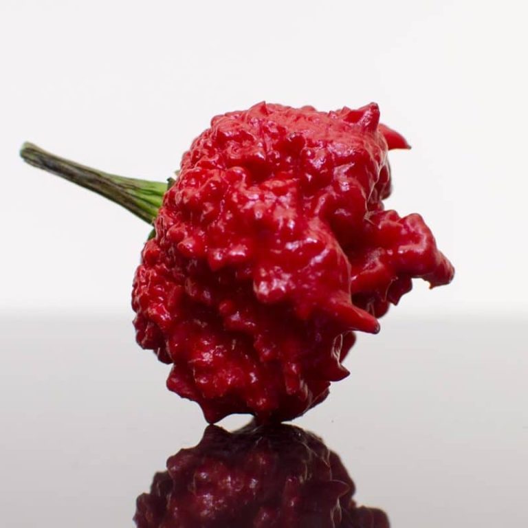 Hottest Pepper In The World: Top 10 Spiciest Varieties [2023 Update ...